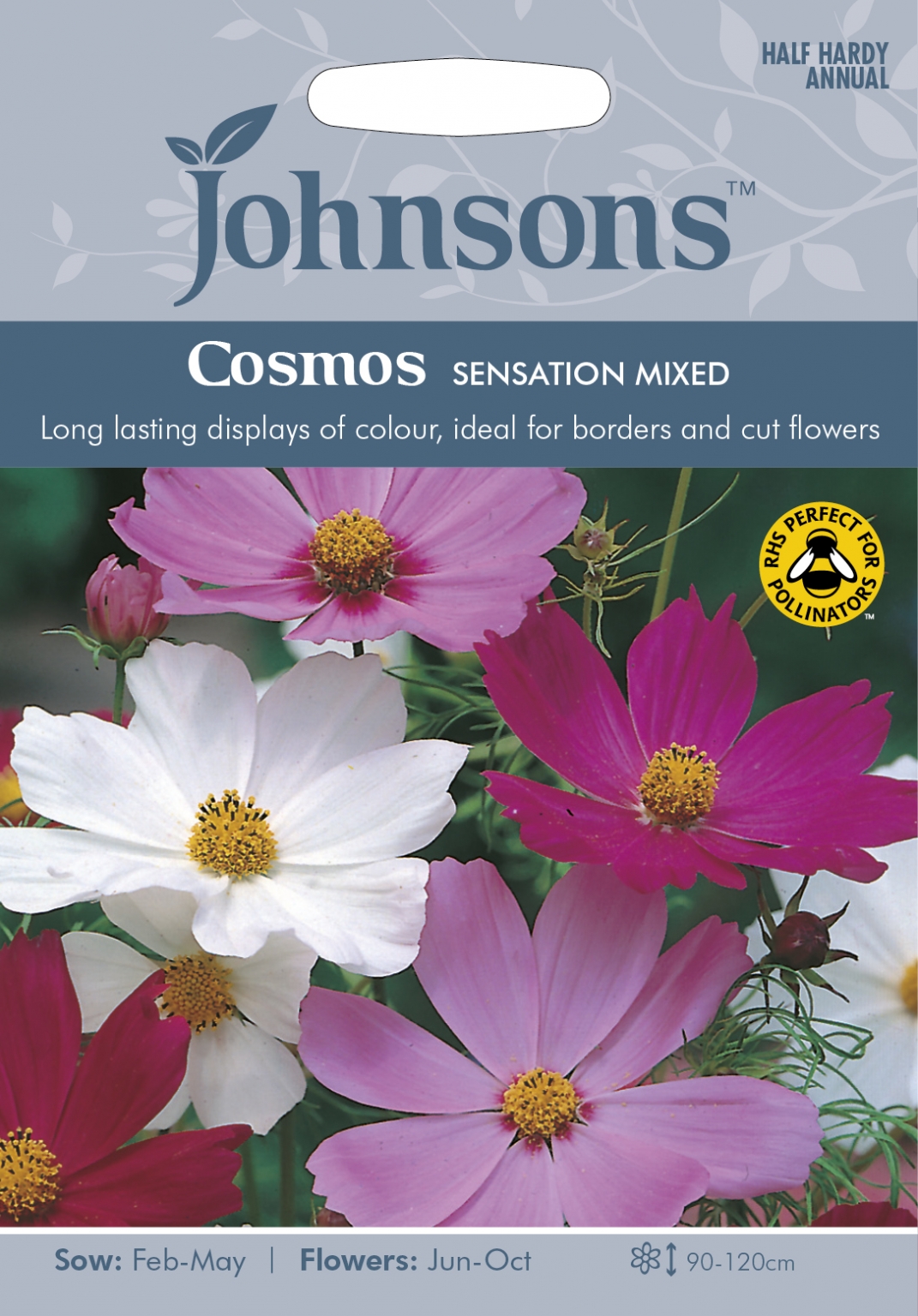 COSMOS Sensation Mixed Seeds - Goldcliff Garden Centre