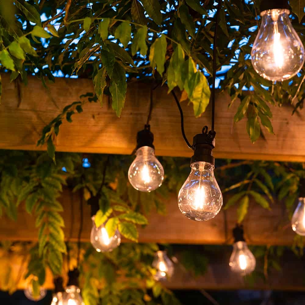 Edinburgh USB Solar Festoon Lights (Set Of 10) - Powered by Leaf ...